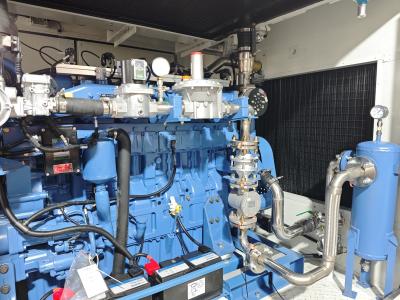 China 400kw Yuchai Engine Rainproof Soundproof Container Natural Gas Generator Set Genset for sale