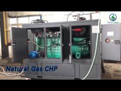 Erdgas aus rostfreiem Stahl CHP 50Hz 3P4W 150KW