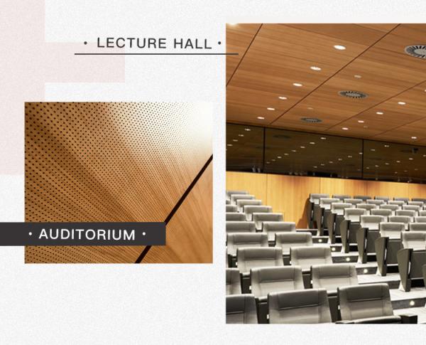 Quality Micro Perforated Sound Absorption Acoustic Panels For Medium To Low Frequencies for sale
