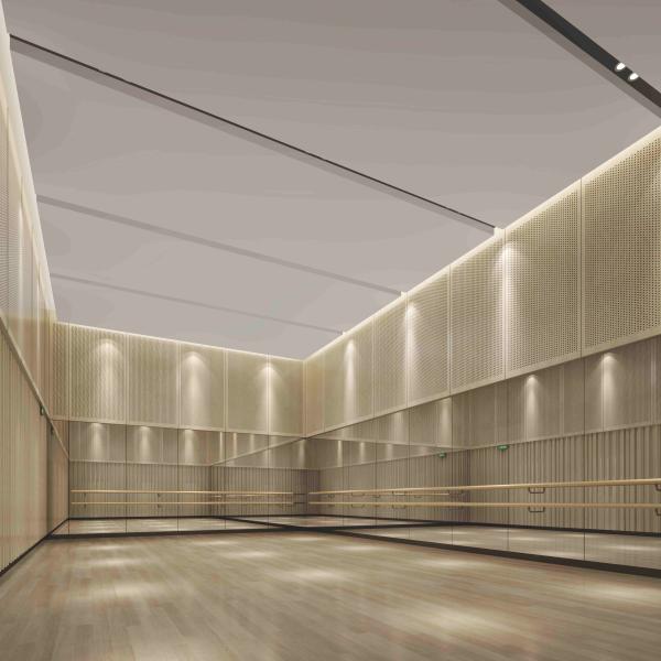 Quality High NRC Natural Veneer Perforated Acoustic Wood Panels For Commercial Office for sale