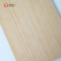 China Micro-perforated Acoustic Panel Elegant Solution for Noise Reduction for sale