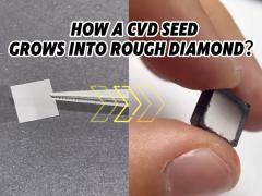 2pt /110 Orientation Mono CVD Diamond Blades For Ophthalmic Knives And Microtomes