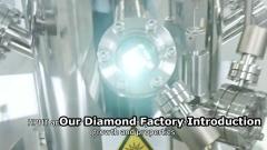 Our Diamond Factory Introduction