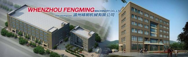 &lt; Fengming&gt; Ruian Machinery of Flexo Press Printing Machine