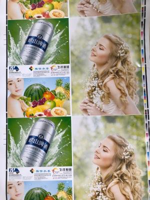 China Water Based Ink 6 Color Inline Type Servo Control Flexo Printing Machine for Printing for sale