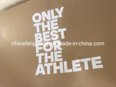 China Máquina de impresión Flexo de 6 colores personalizable para bolso de zapatos de registro automático y rendimiento en venta
