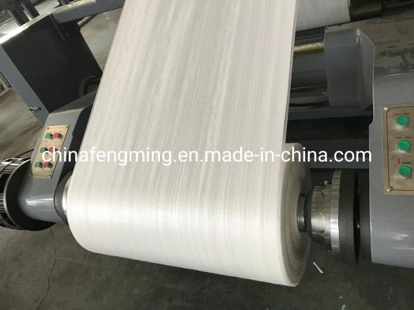 CE ISO9001 FM Series Four-Color Flexographic Printing Machine 200m/Min Gearing 1/8cp