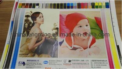 Cina Macchina ad alta velocità per la stampa flessografica a 4 colori su rotolo per bicchieri/scatole/sacchi di carta FM-B920 in vendita