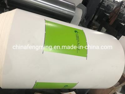 Cina Scopri la versatilità della flexo stampa multicolore per il tuo business in vendita