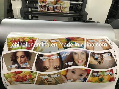 China Max. Web Width 920/1020/1220mm FM-B 920-1850 Flexographic Printing Machine for Paper Cup for sale