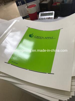 China Unit Type Structure Color BOPP Water Based Varnishing Flexo Machine for Customization for sale