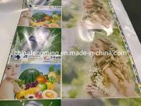 China Automatic Grade Automatic Flexo Plastic BOPP Printing Varnishing Machine for Output for sale