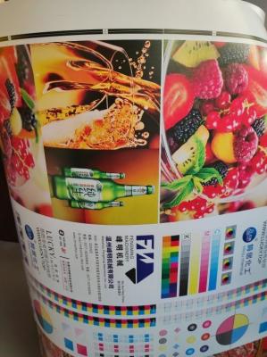 China Flexible Packaging Printing FM-CS Wide Web Flexo Printing Machine met Servo Drive Te koop