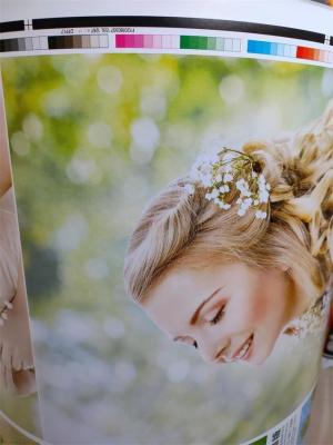 China Single Faced Printing Unit Type 6 Colors Flexographic Machine for Paper Plate Varnishing for sale