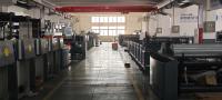 China Flexo Printing Machine for Paper Cartons 1000mm Width for sale