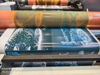 China Anilox Ceramic Roller Unit Type Flexo Printing Machine High Speed for sale