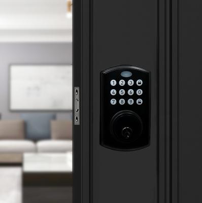Cina Serratura con catenaccio elettrico con password virtuale Serratura elettronica con tastiera intelligente in vendita