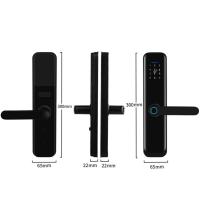 China Smartphone Control Fingerprint Smart Door Locks DC6V Door Handle Lock for sale