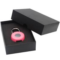 China CE Smart Outdoor Padlock Keyless Smart Outdoor Gate Lock for sale