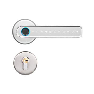 Cina Anti corrosione in lega di zinco della serratura di porta della maniglia della maniglia dell'impronta digitale di retro stile in vendita