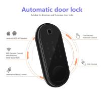 China Biometric Smart Deadbolt Door Lock Keyless Smart Entry Door Locks for sale