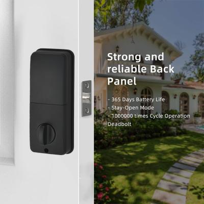 Cina Serrature di porta Keyless astute biometriche dello Smart Entry della serratura di porta di chiavistello senza molla di scatto in vendita