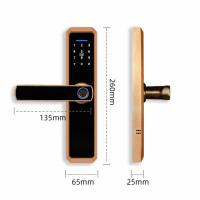 China Keyless Commercial Smart Lock SDK Network Home Assistant Door Lock for sale