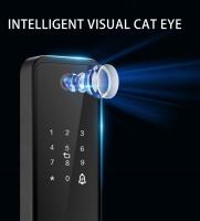 China Type-C Charging Smart Door Lock Tuya App Remote Control with Fingerprint Camera for sale