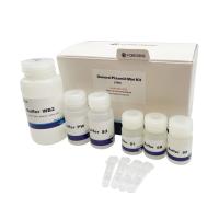 China Lab Reagent General Plasmid Mini DNA Isolation Kit No RNase Contamination for sale