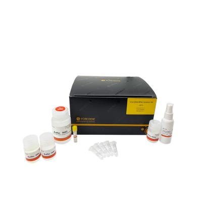 China Hoge van de Opbrengstdna van Reinigingsrna van de RNAisolatie RN-ase Vrije Lineaire Acrylamide van Kit With Te koop