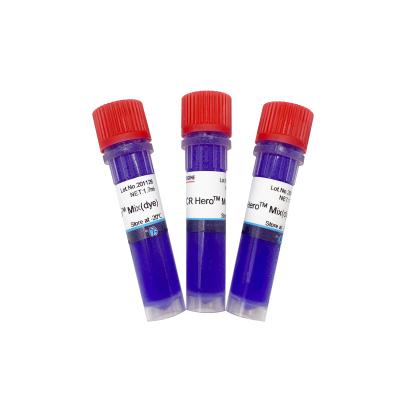 China PCR uitrustingenpremix systeem die Taq-enzymhoog rendement bevatten Te koop