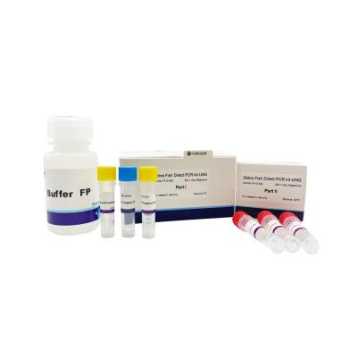 Cina Corredo diretto di PCR del pesce zebra del reagente di PCR di biologia molecolare con UNG senza purificazione priore del DNA in vendita