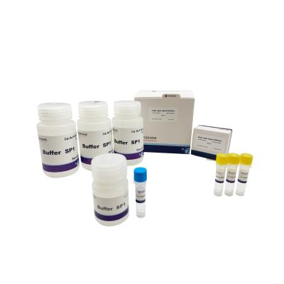 Cina Amplificatore di carico diretto di PCR Kit Lysis Buffer Ce Iso del corredo I/II di PCR del seme della pianta per le piante transgeniche in vendita
