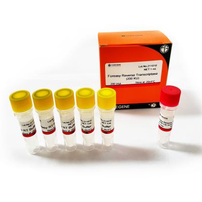 Cina Trascrittasi inversa di Foreasy M-MLV per i corredi di PCR di estensione dell'iniettore di sintesi di CDNA con la DNA polimerasi in vendita