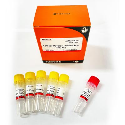 Cina Trascrittasi inversa di Foreasy M-MLV per i corredi di PCR di estensione dell'iniettore di sintesi di CDNA con la DNA polimerasi in vendita