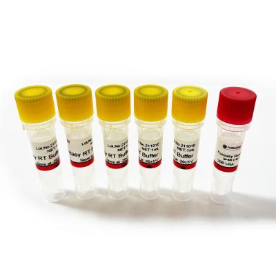Cina Trascrittasi inversa di Foreasy M-MLV per i corredi di PCR di estensione dell'iniettore di sintesi di CDNA con la DNA polimerasi in vendita