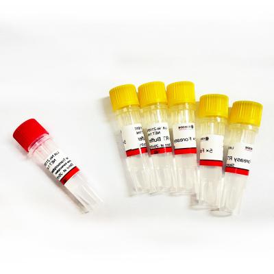 Cina Trascrittasi inversa di Foreasy M-MLV per i corredi di PCR di estensione dell'iniettore di sintesi di CDNA con la DNA polimerasi in vendita