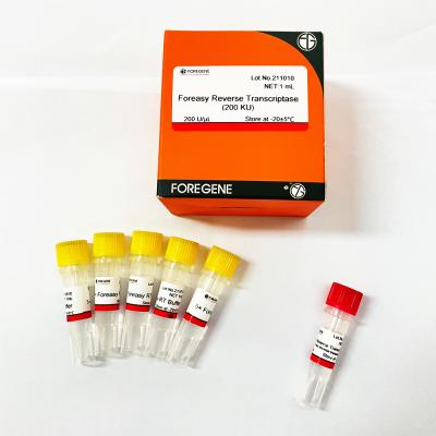 Cina Trascrittasi inversa di Foreasy M-MLV per i corredi di PCR di estensione dell'iniettore di sintesi di CDNA con la DNA polimerasi in vendita