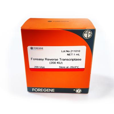 Cina Trascrittasi inversa di Foreasy M-MLV per i corredi di PCR di estensione dell'iniettore di sintesi di CDNA con la DNA polimerasi in vendita