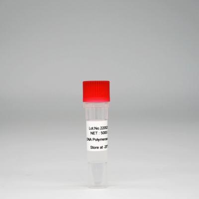 China Miscela eccellente degli enzimi di HotStar Taq della DNA polimerasi di Foreasy HS Taq per PCR/QPCR for sale