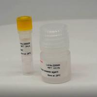 China China IVD Factory Sample Release Agent For Spin Column Method Nucleic Acid Extraction for sale
