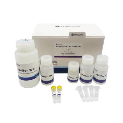 Cina Isolamento acido nucleico Kit For Animal Tissue del DNA del corredo di purificazione del laboratorio in vendita