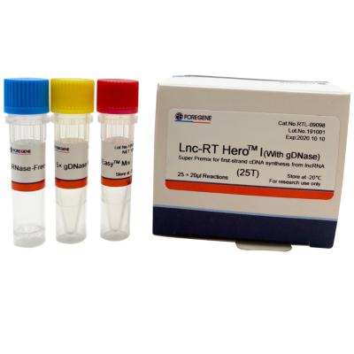 中国 RT EasyTM IのCDNA EcoDryの予混合へのマスターの予混合のRNA 販売のため