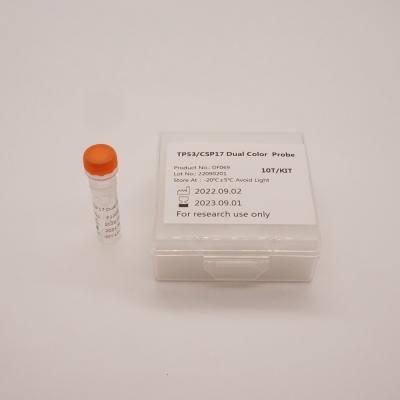 Cina Sonda a doppio colore TP53/CSP17 per rilevare l'anomalia del gene umano TP53 in vendita