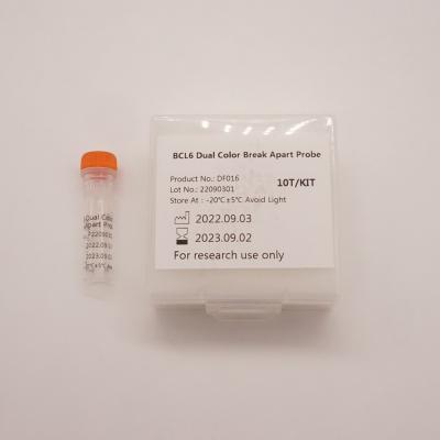 Chine Sonde à rupture bicolore BCL6 pour détecter l'anomalie du gène humain BCL6 à vendre