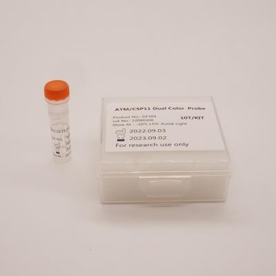 Cina Sonda bicolore ATM/CSP11 per il rilevamento di anomalie del gene umano ATM(11q22) in vendita