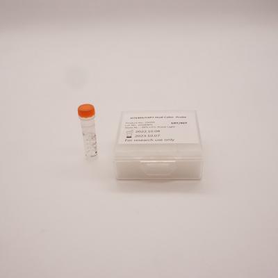 Cina D7S486/CSP7 Kit sonda fish bicolore per campioni citologici in vendita