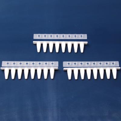 Cina Una metropolitana di plastica piana ottica di 8 viaggi della copertura pp della dnasi della RNAsi dei materiali di consumo liberi del laboratorio in vendita