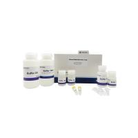 China Buffer BL1 DNA Isolation Kits Buffer BL2 Blood DNA Extraction Kit for sale