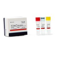 China Fast High Sensitive 20ul System First Strand CDNA Synthesis Kit RT-01011 for sale